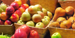 About Us - Dom Amodeo Produce Ltd.