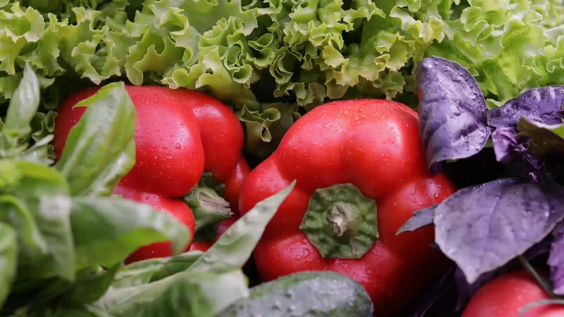 Dom Amodeo Produce Toronto | Distribution of Fresh Fruit and Vegetables